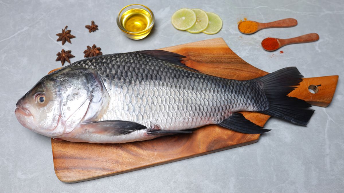 CoralCuts